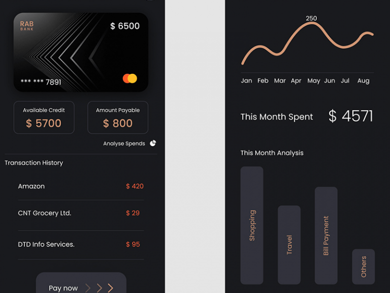 Credit Card Spending App - Free XD Resource | Adobe XD Elements